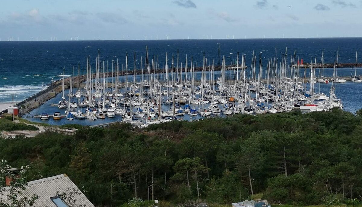 Anholt Lone Star: En skæv og sjov sejlads for single- og ...